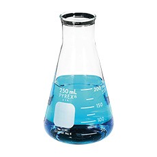 Erlenmeyer Flask, 125 mL | Labware & Accessories