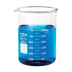 Beaker, Graduated Glass Type 1, Dual Scale, 250 mL
